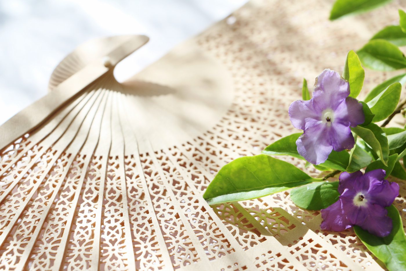 How to Use your Japanese Folding Fan the Right Way - Kokoro Media