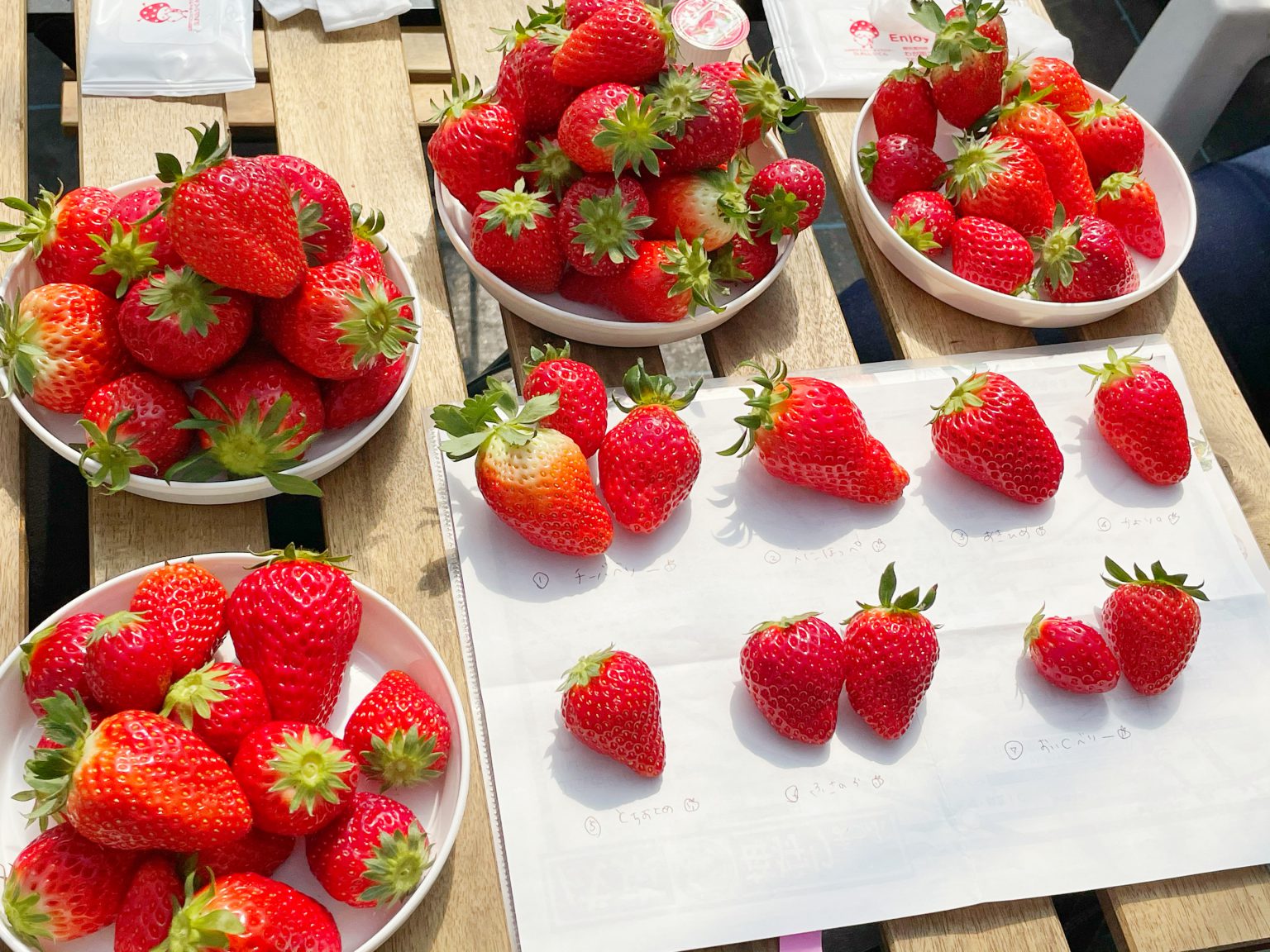 Our Experience of Japanese Strawberry Picking at a Chiba Farm - Kokoro ...