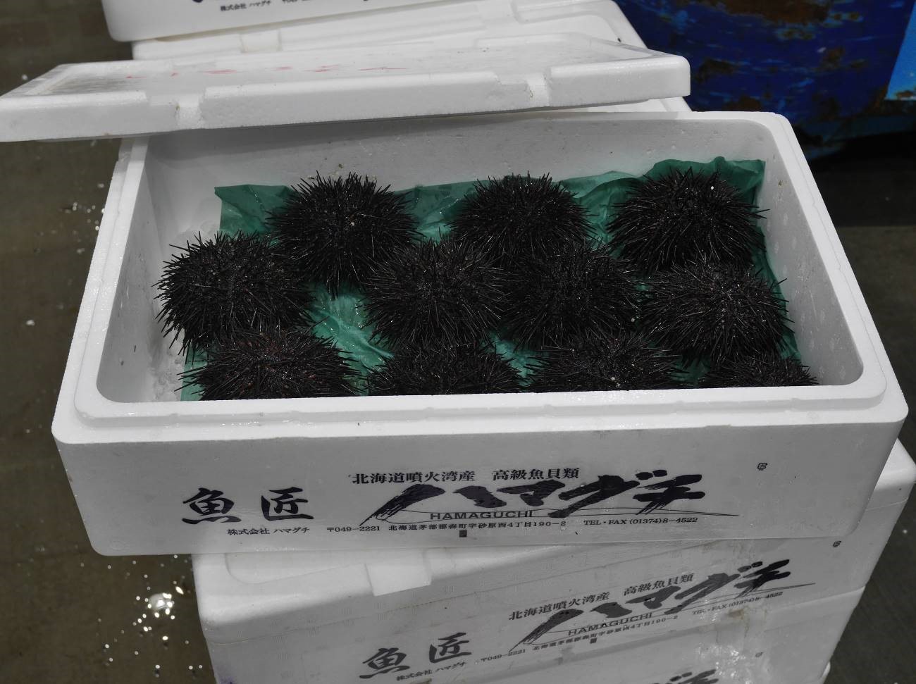 The Toyosu Fish Market: A Behind-the-Scenes Experience with Nobutaka ...