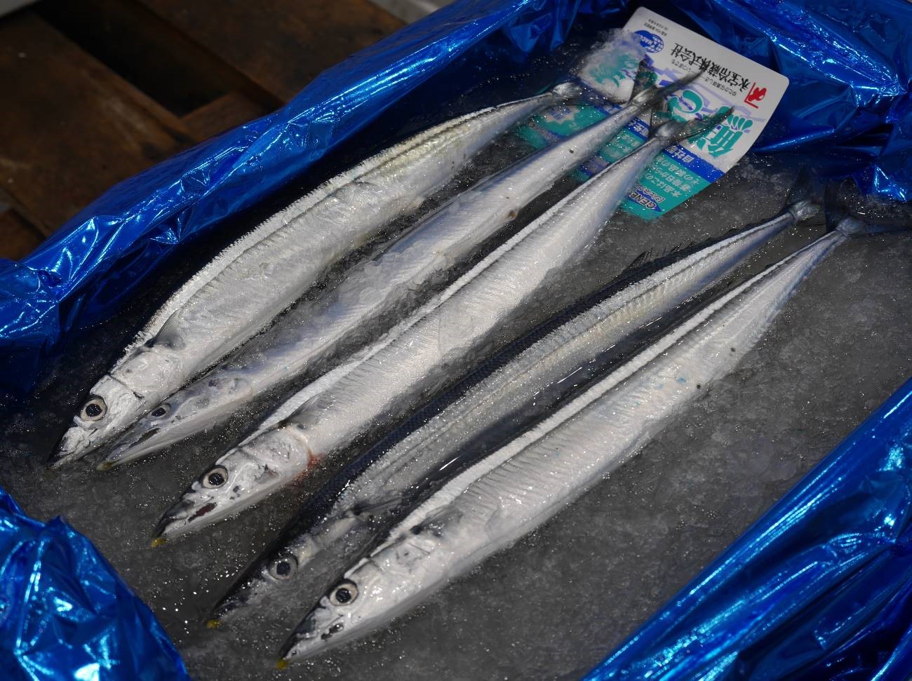 The Toyosu Fish Market: A Behind-the-Scenes Experience with Nobutaka ...