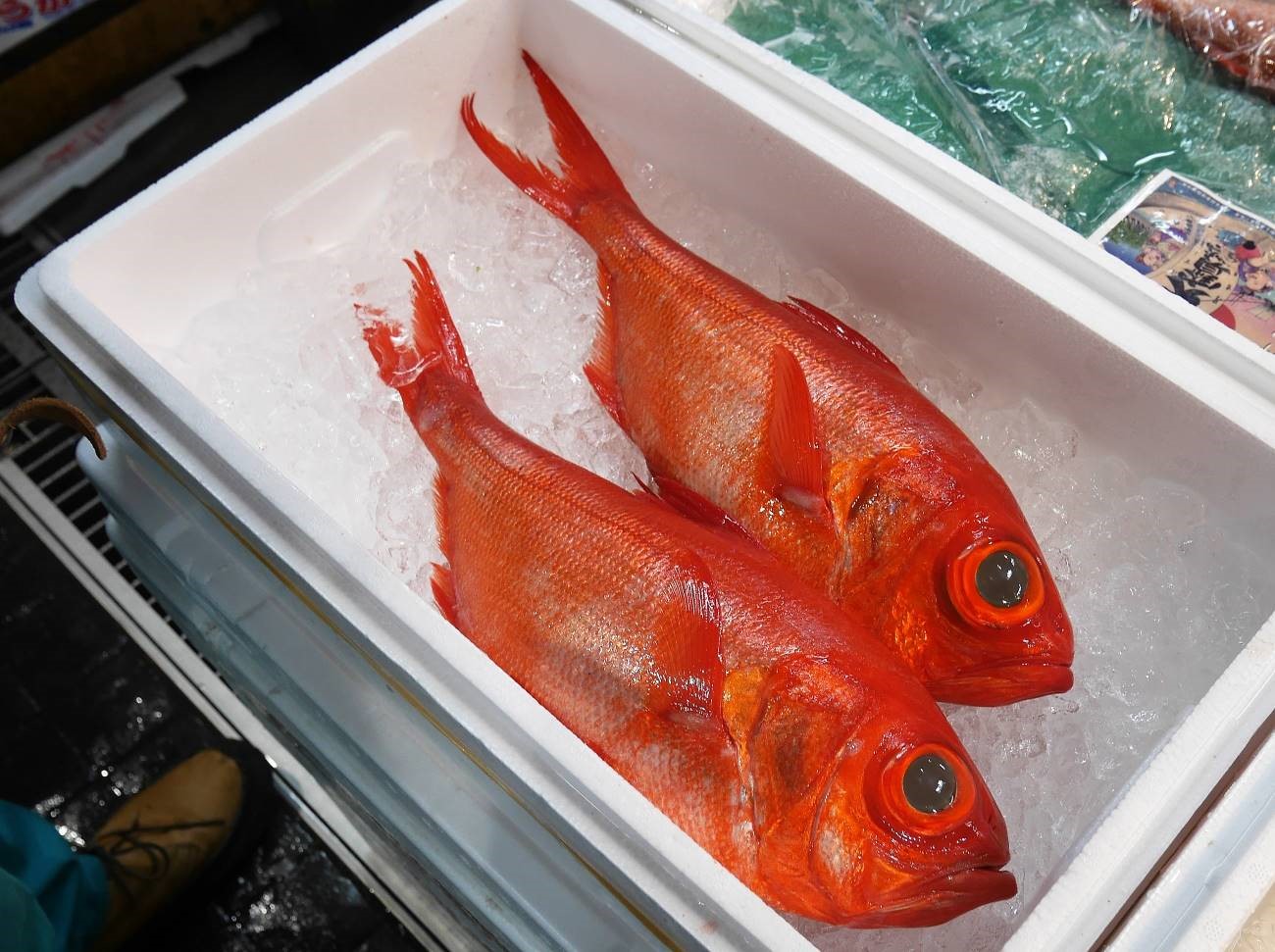 The Toyosu Fish Market: A Behind-the-Scenes Experience with Nobutaka ...